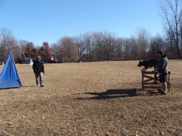 Table Training - Sportwaffen K9