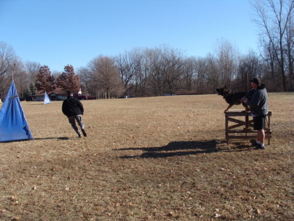 Table Training - Sportwaffen K9