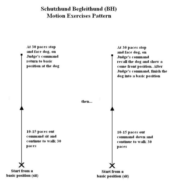 Schutzhund Information - Sportwaffen K9