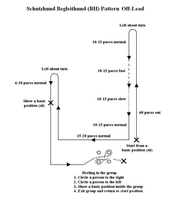 Schutzhund Information - Sportwaffen K9