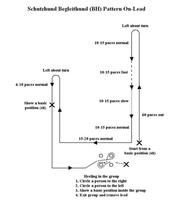 Schutzhund Information - Sportwaffen K9
