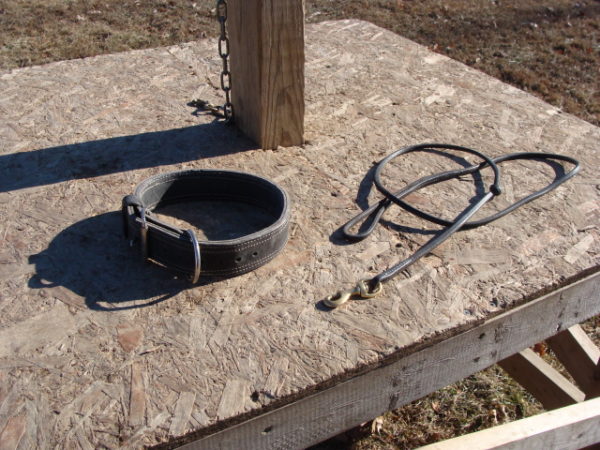 Table Training - Sportwaffen K9