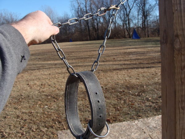 Table Training - Sportwaffen K9